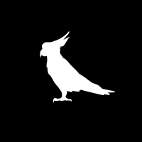 Projects – Polly Studio